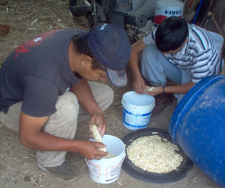 corn preparation | Surviving Mexico