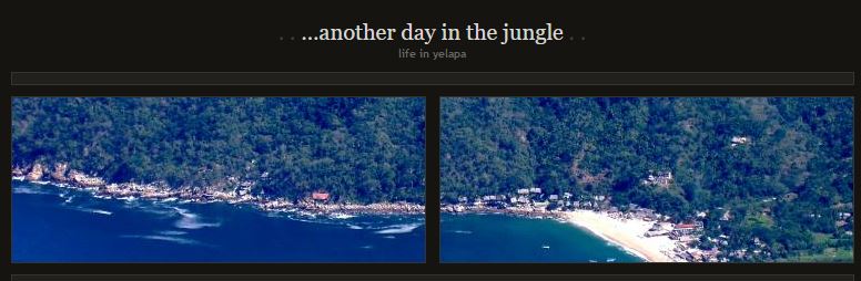 another day | Surviving Mexico