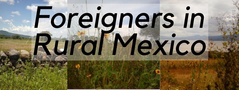 Blogroll | Surviving Mexico