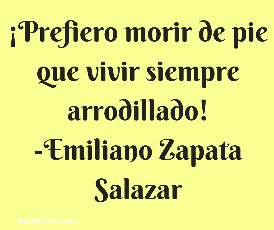 prefiero | Surviving Mexico