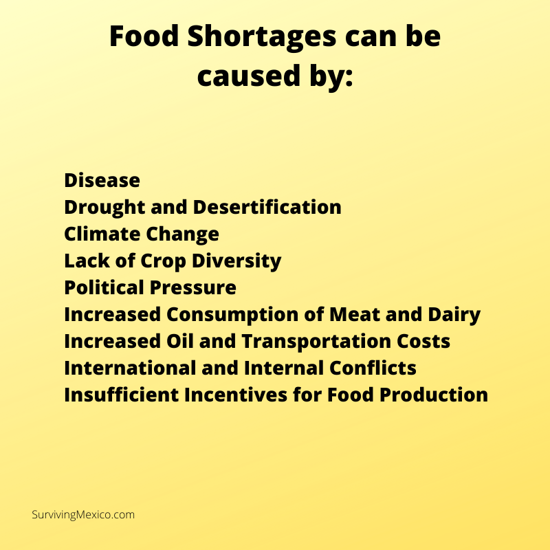 Prepping in Mexico– Food Shortages and Famine | Surviving Mexico