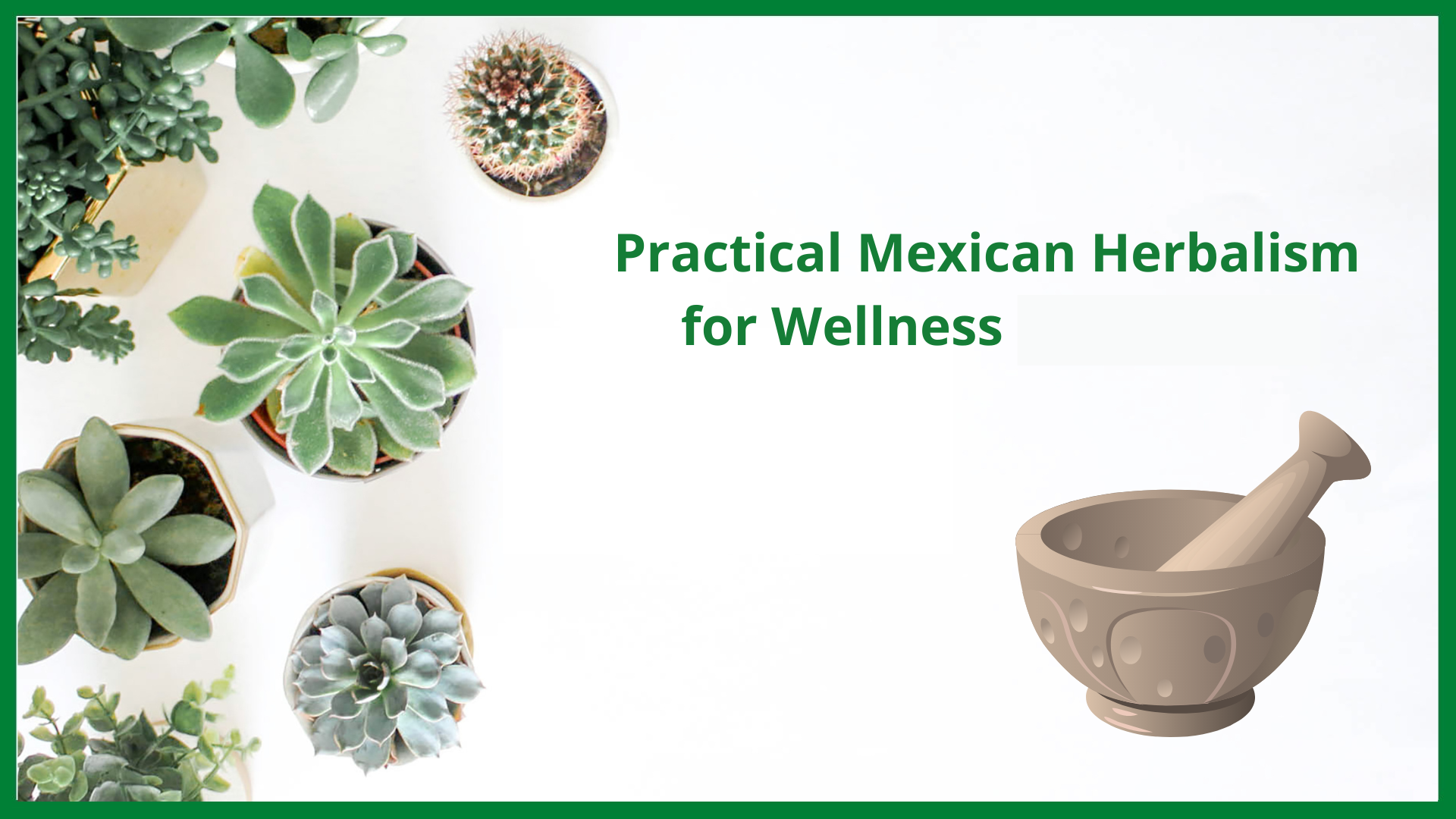 Practical Mexican Herbalism for Wellness Academy | Surviving Mexico