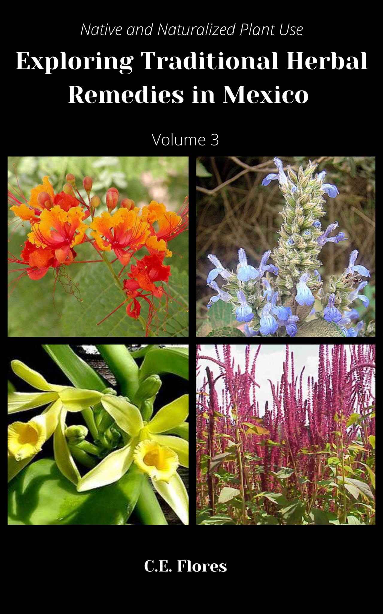 Natural Healing — Ololiúqui | Surviving Mexico