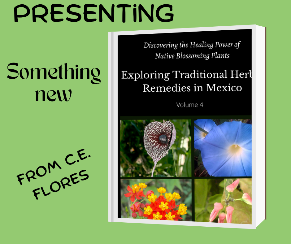 Exploring Traditional Herbal Remedies in Mexico Volume 4: Discovering ...