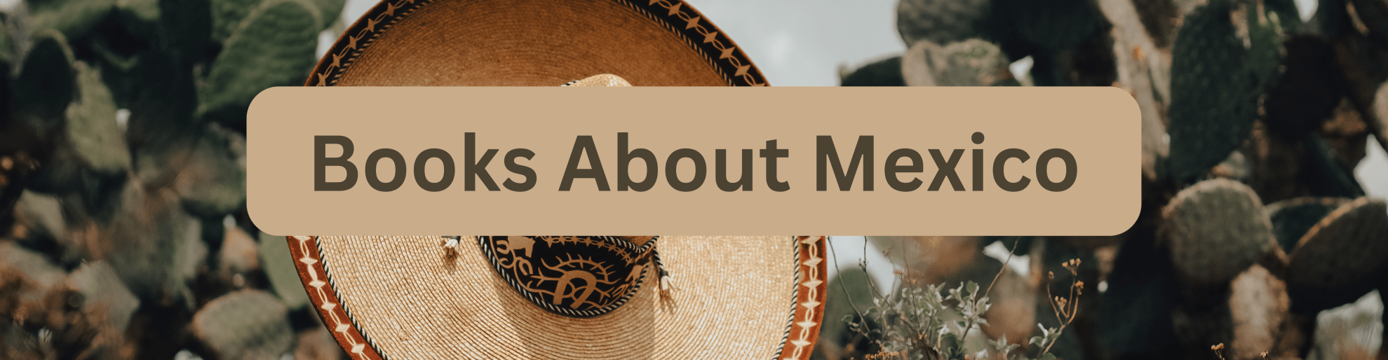 Recommended Reading | Surviving Mexico